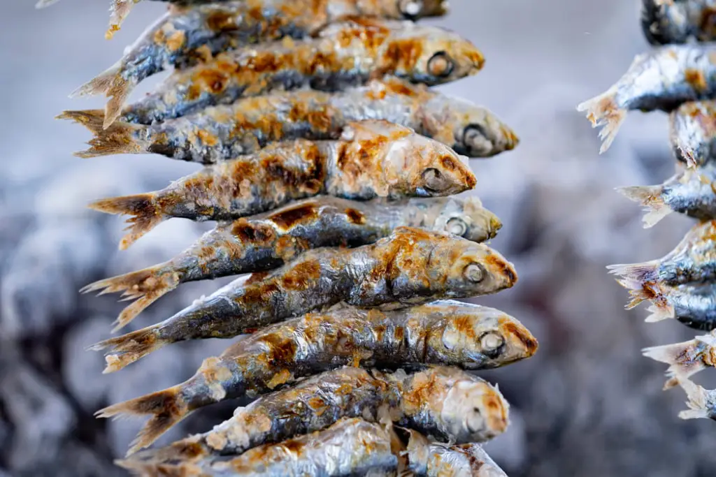 Grilled Sardines Recipe: 4 Expert Tips to Perfect it - The Spanish Apron